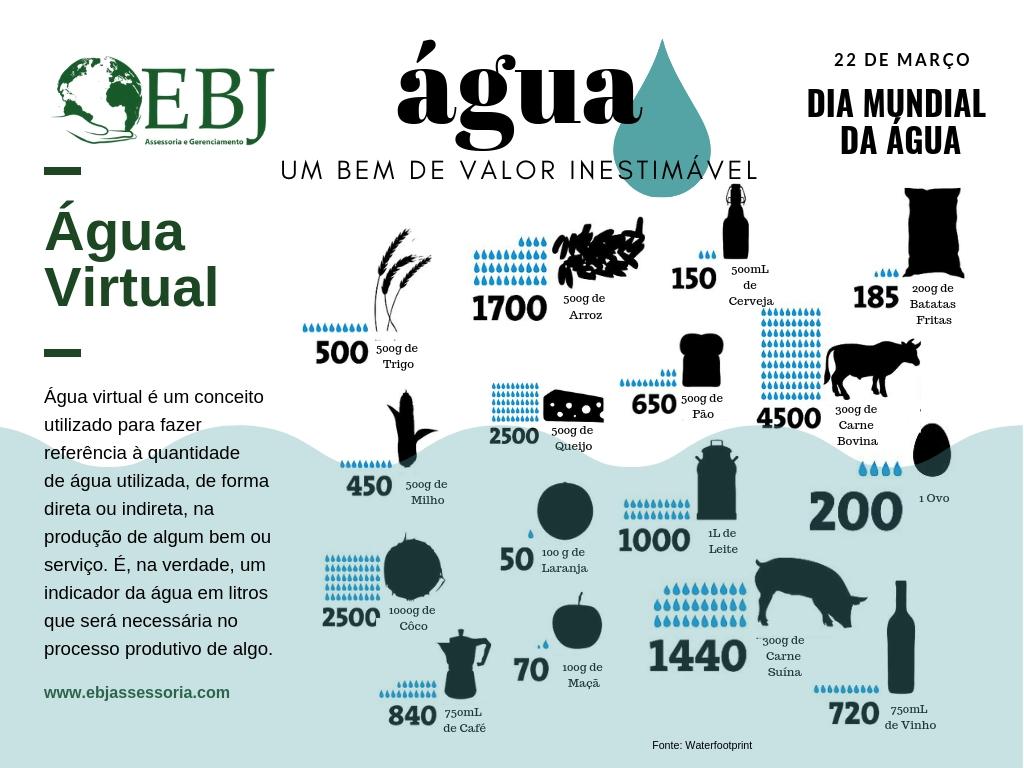 DIA MUNDIAL DA ÁGUA - ÁGUA VIRTUAL - EBJ